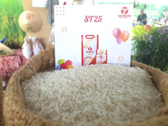 Gạo ST24 và ST25 vẫn chưa được hưởng ưu đãi thuế xuất khẩu sang EU ...